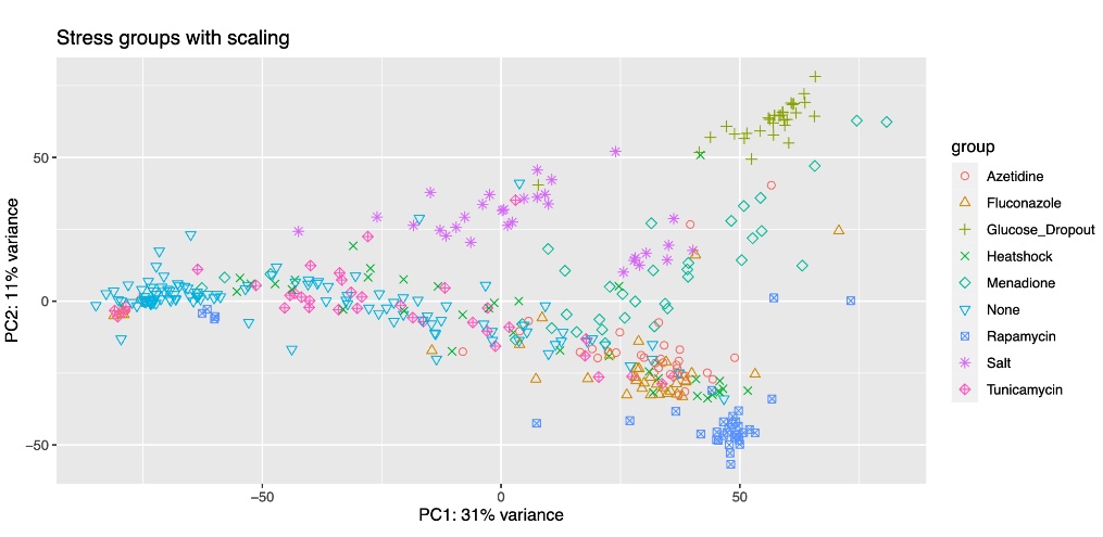 Sophie Furlow - Homepage